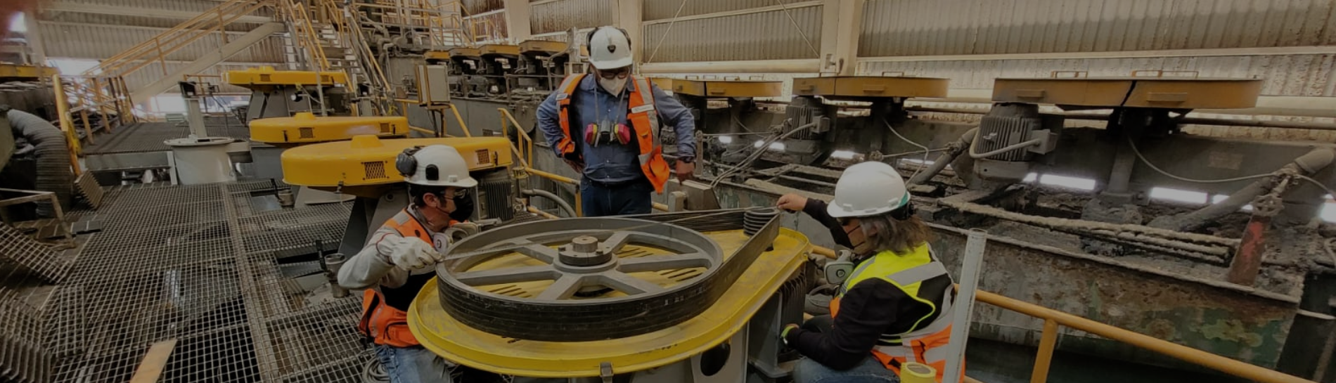 21 – InterMining Process